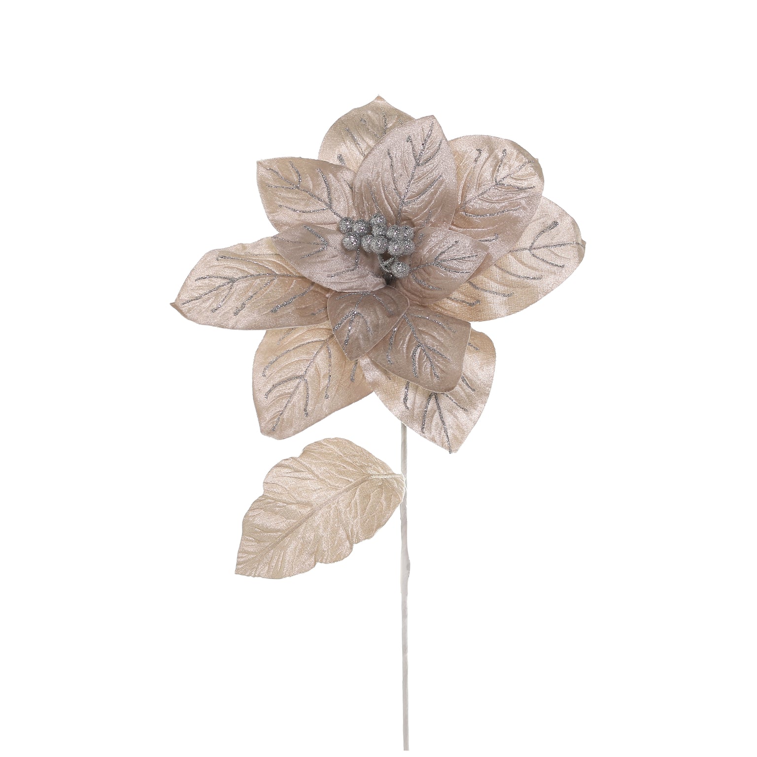 Champagne Sparkle — Chelsea Loft